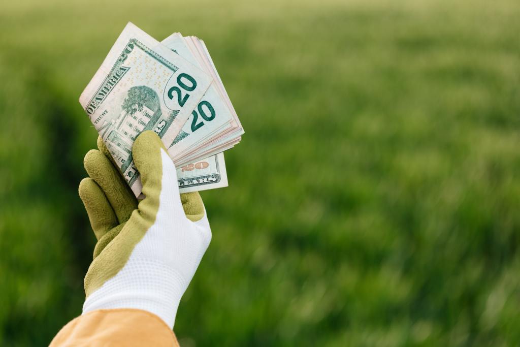 Top 12 Green Private Equity Firms