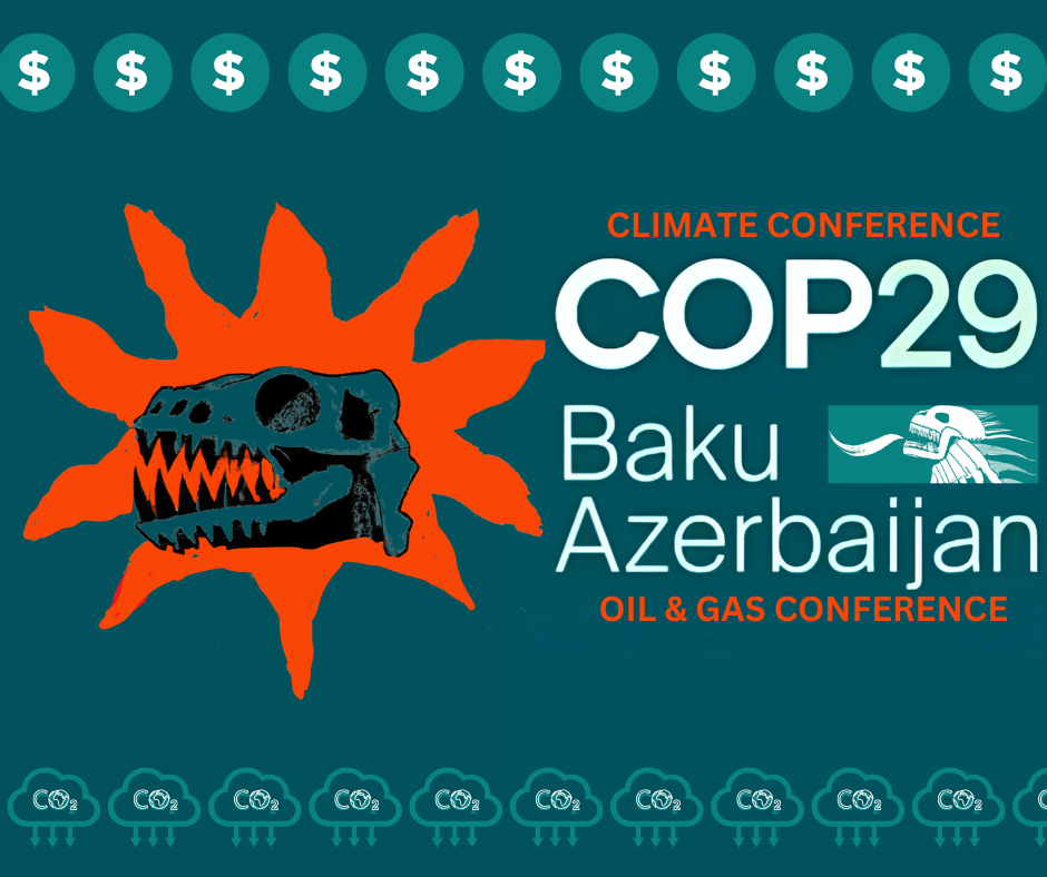 A Deep Dive into the Outcome of the 2024 UN Climate Conference